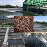 China 0.75mm Geomembranes Manufactured with Industrial Design Style in Philippines for sale