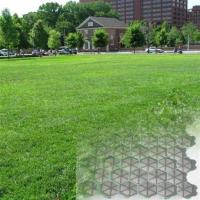 China Parking Lot and Driveway HDPE Plastic Grass Grid Paver CE/ISO9001/ISO14001 Certified for sale
