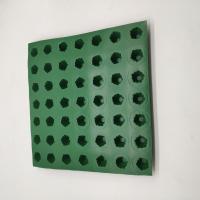 China Driveway Drainage Made in Plastic Drainage Board for Greening Municipal Construction for sale