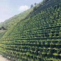China Outdoor Construction Road Way 200 356 HDPE Plastic Green Black Geocell Retaining Wall for sale