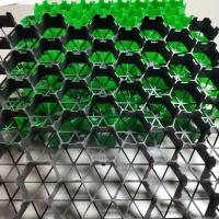 China Parking Lot and Driveway Gravel Stabilizer Plastic Grass Paver Grid with HDPE Material for sale