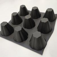 China HDPE Drainage Board Traditional Design Style for Water Management in Water Conservancy for sale