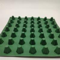 China HDPE Drainage Board Traditional Design Style for Water Management in Water Conservancy for sale