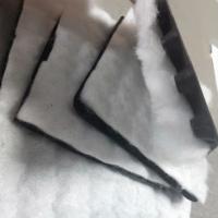 China Foundation Drainage Made Easy HDPE Plastic Dimple Waterproofing Board with Geotextile for sale