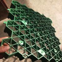 China 400*420mm*66mm HDPE Grass Paver Grid for Noble Living Community and Gravel Stabilizer for sale