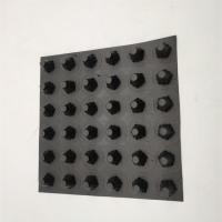 China Affordable Greening System HDPE PVC Plastic Drainage Board for Water Conservancy Needs for sale