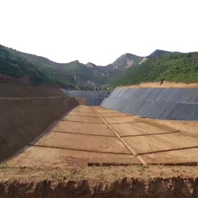 China 1m-10m Width HDPE Geomembrane 0.2-3mm Pond Liner for Fish Pond Swimming Pool Digester for sale