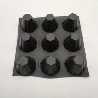 China Affordable Greening System HDPE PVC Plastic Drainage Board for Water Conservancy Needs for sale