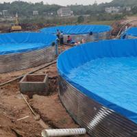 China 1m-10m Width HDPE Geomembrane 0.2-3mm Pond Liner for Fish Pond Swimming Pool Digester for sale