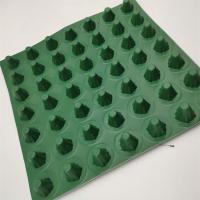 China Affordable Greening System HDPE PVC Plastic Drainage Board for Water Conservancy Needs for sale