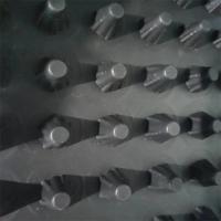 China Affordable Greening System HDPE PVC Plastic Drainage Board for Water Conservancy Needs for sale