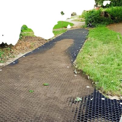China CE/ISO9001/ISO14001 Certified Plastic Grass Paver Grid for Driveway and Parking Lot for sale