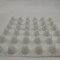 China 68mm Height Plastic Drainage Board for Roof Garden Protect Turf and Improve Drainage for sale