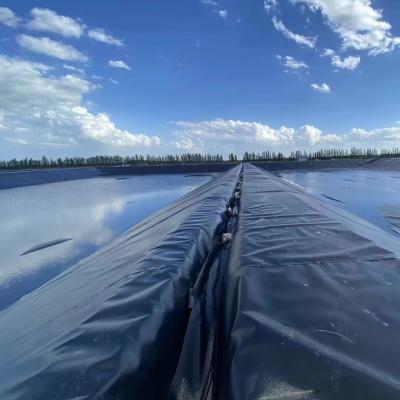 China GB/ASTM GRI-GM13 Standard Composite Geomembrane for Fish Farming Industrial Design Style for sale
