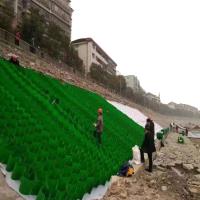 China Height 50mm-600mm HDPE Geocell for Driveway Geocell Manufacturers in Road Construction for sale