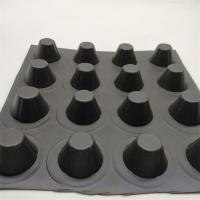 China HDPE Plastic Drainage Board for Easy Set and Protect Turf in Roof Garden Water Conservancy for sale