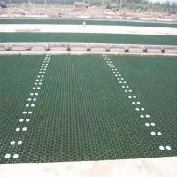 China Black Green HDPE Paver Grids for Driveway Parking Lot Drive Way 38mm 48mm 60mm for sale