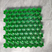 China 500x500x40mm Plastic Grass Planting Grid for Outdoor Parking Lot Fire Lane and Footpath for sale