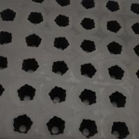 China Virgen HDPE Plastic Drainage Board for Traditional Design Style Roof Garden Construction for sale