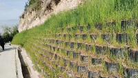 China Road Slope Geocell with Stable Driveway Gravel Stabilizer and Height 50mm-250mm for sale