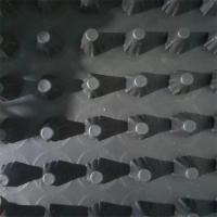 China Traditional Design Style Water Conservancy HDPE PVC Drainage Board for Protecting Turf for sale