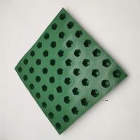 China Traditional Design Style Water Conservancy HDPE PVC Drainage Board for Protecting Turf for sale