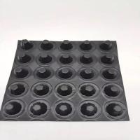 China Modern Design HDPE Plastic Drainage Board with Seepage Storage and Drainage Function for sale
