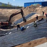 China Online Technical Support HDPE Geomembrane for Man-made Lakes ASTM Standard in Tenglu for sale