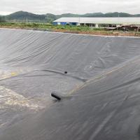 China Online Technical Support HDPE Geomembrane for Man-made Lakes ASTM Standard in Tenglu for sale