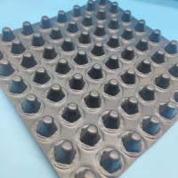 China CE/ISO9001 ISO14001 Certified HDPE Plastic Drainage Board for Drainage and Cost Savings for sale