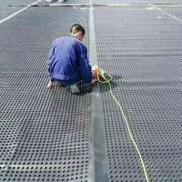 China CE/ISO9001 ISO14001 Certified HDPE Plastic Drainage Board for Drainage and Cost Savings for sale