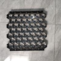 China Black Green Plastic Paver Grid for Protecting Turf in Parking Lots and Driveways for sale