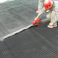 China CE/ISO9001 ISO14001 Certified HDPE Plastic Drainage Board for Drainage and Cost Savings for sale