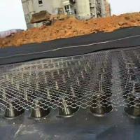 China CE/ISO9001 ISO14001 Certified HDPE Plastic Drainage Board for Drainage and Cost Savings for sale