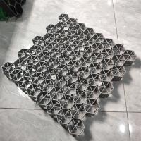 China Black Green Plastic Paver Grid for Protecting Turf in Parking Lots and Driveways for sale