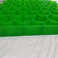 China Black Green Plastic Paver Grid for Protecting Turf in Parking Lots and Driveways for sale