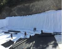 China Geotextile and Geonet 3D Composite Drainage Net 3.4mm-8mm Thickness for Performance for sale