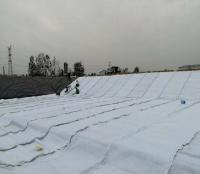 China Geotextile and Geonet 3D Composite Drainage Net 3.4mm-8mm Thickness for Performance for sale