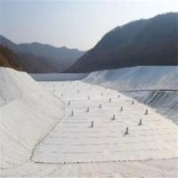 China Geotextile and Geonet 3D Composite Drainage Net 3.4mm-8mm Thickness for Performance for sale