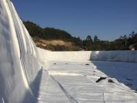 China Geotextile and Geonet 3D Composite Drainage Net 3.4mm-8mm Thickness for Performance for sale