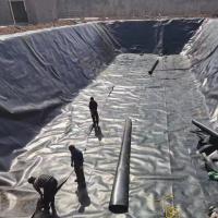 China Geomembrane Welder for Construction Works in Asia Europe America Market 110v 120v 220v for sale