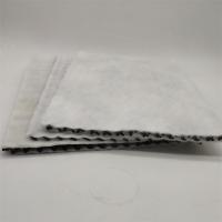 China Plastic Composite Geonet for Slope Protection in Landfill Roadbed Drainage Solution for sale