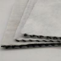 China Product Feature Ecofriendly 3D Composite Geonet for Landfill Roadbed Slope Protection for sale