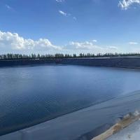 China Chinese Geomembrane Impermeable Fish Pond Shrimp Pond Cistern Waterproof Membrane for sale
