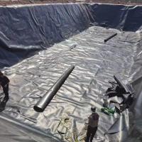 China Chinese Geomembrane Impermeable Fish Pond Shrimp Pond Cistern Waterproof Membrane for sale