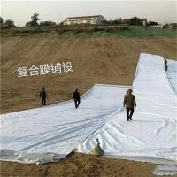 China Landfill Sewage Treatment Channel Seepage Prevention HDPE Geomembrane Waterproof Liner for sale