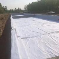 China Landfill Sewage Treatment Channel Seepage Prevention HDPE Geomembrane Waterproof Liner for sale