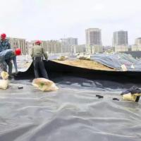 China Tenglu Provides HDPE Geomembrane for Waterproof Fish Shrimp Pond and Swimming Pool for sale