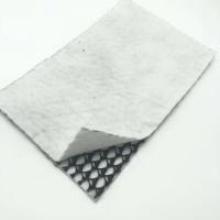 China Composite Geonet for Drainage Considerable Thickness and Good Water Permeability for sale