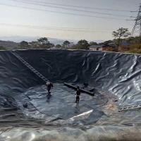 China Industrial Design Style Geomembranes for 2mm Landfill Biodigester HDPE FISH POND LINER for sale
